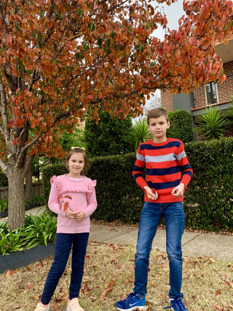 Autumn 2019 Australia